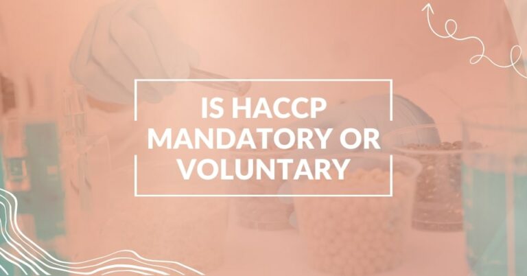 HACCP Plan: How to Create and Implement It Right