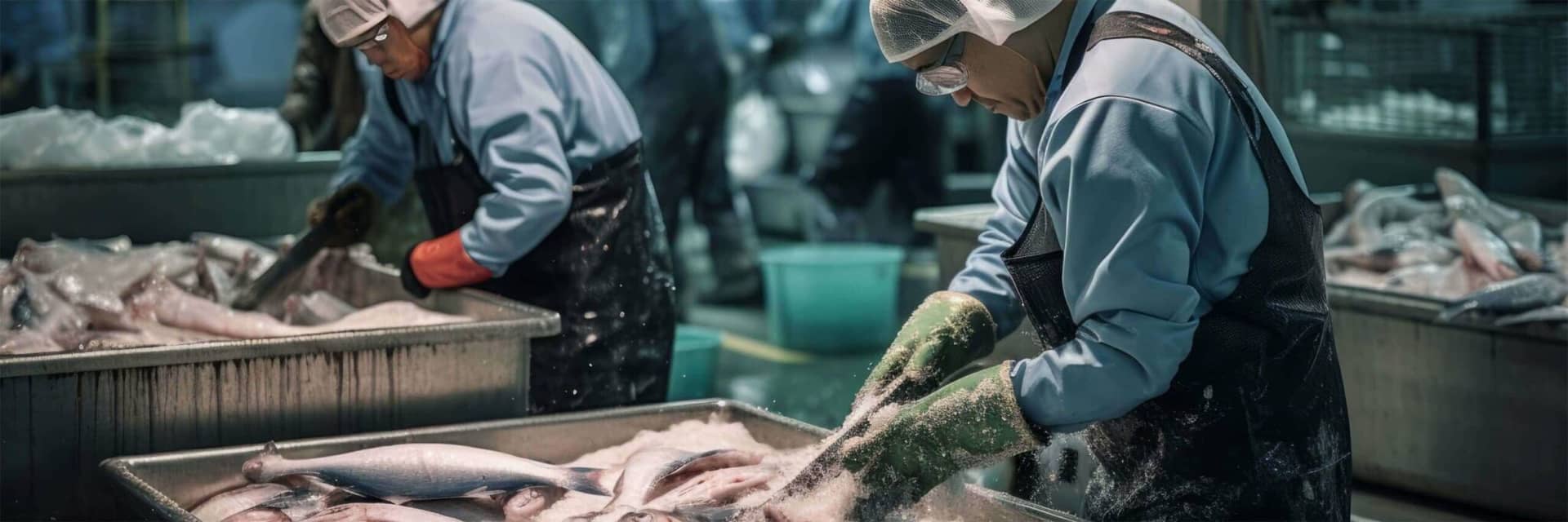 Best Seafood Distribution Software in 2024 - FoodReady