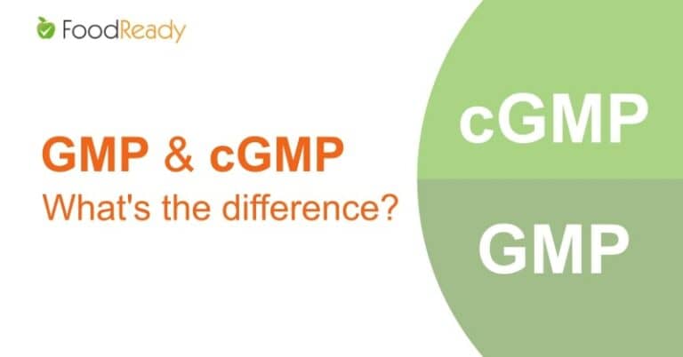cGMP vs GMP: What's the Difference?