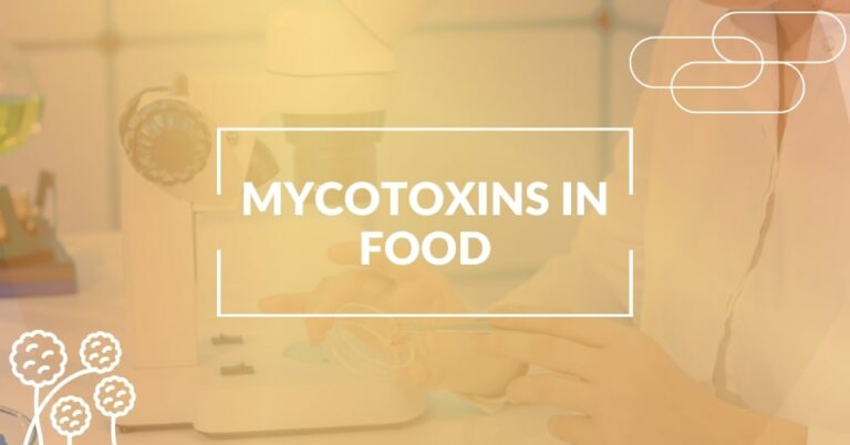 Mycotoxins in Food Detection and Control