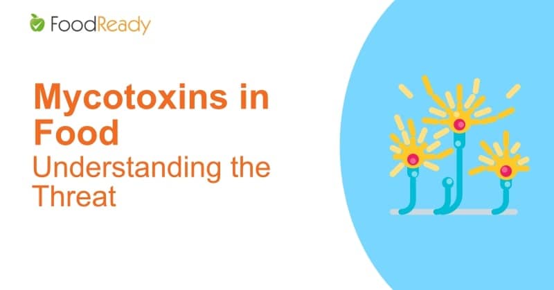 Mycotoxins in Food - Understanding the Threat