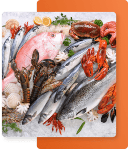 Seafood HACCP Plan Template and Complete Guidelines