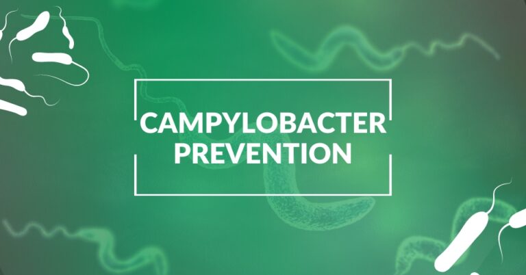 Campylobacter Prevention in Food Processing