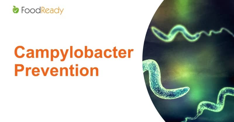 Campylobacter Prevention in the Food Supply