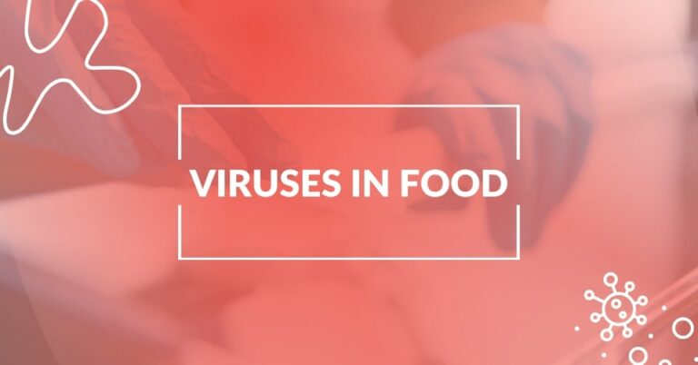 Common Foodborne Viruses and Control Strategies