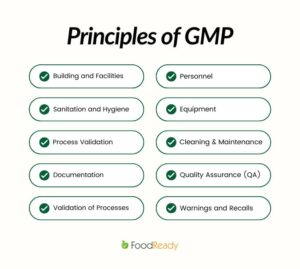 The Ultimate Guide to GMP (Good Manufacturing Practices)