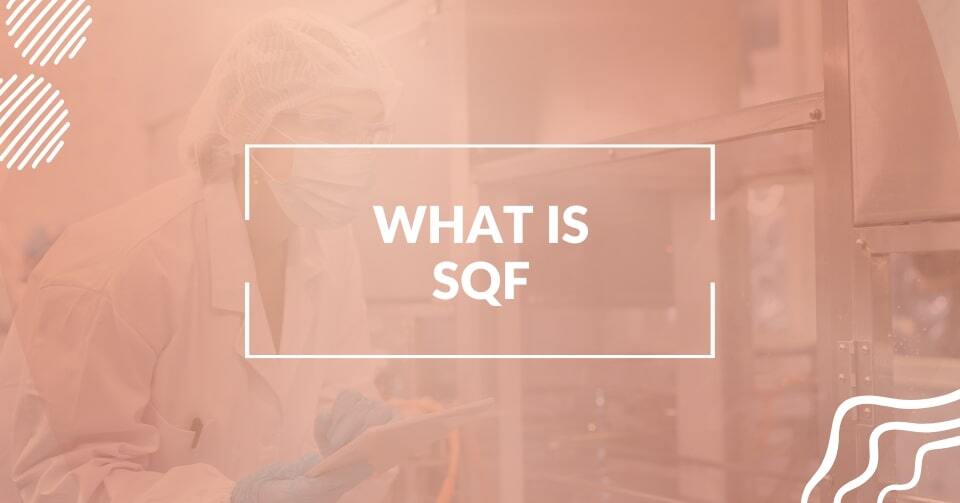 Everything You Need To Know About SQF