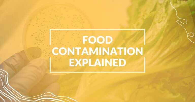 Food Contamination Explained: Types, Risks & Prevention Tips