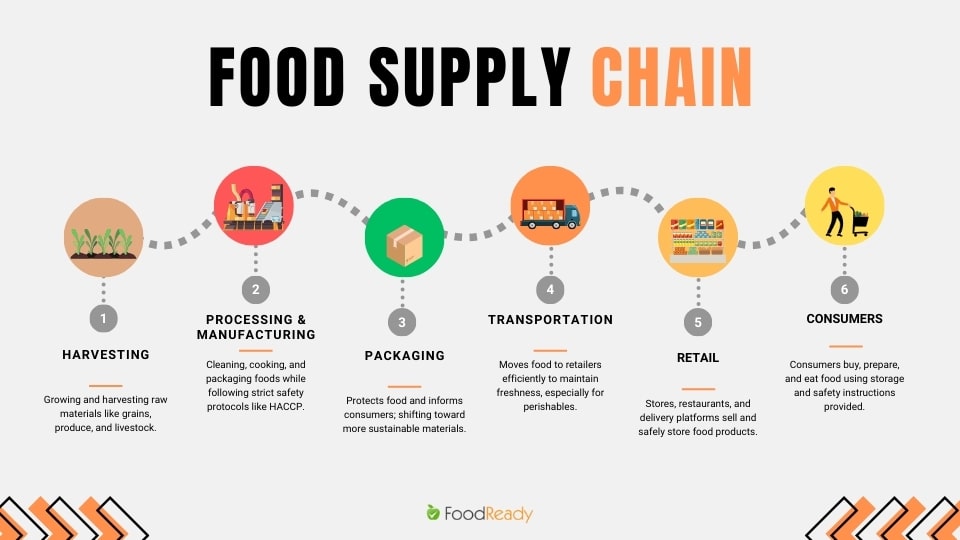 A Brief Guide To The Food Supply Chain