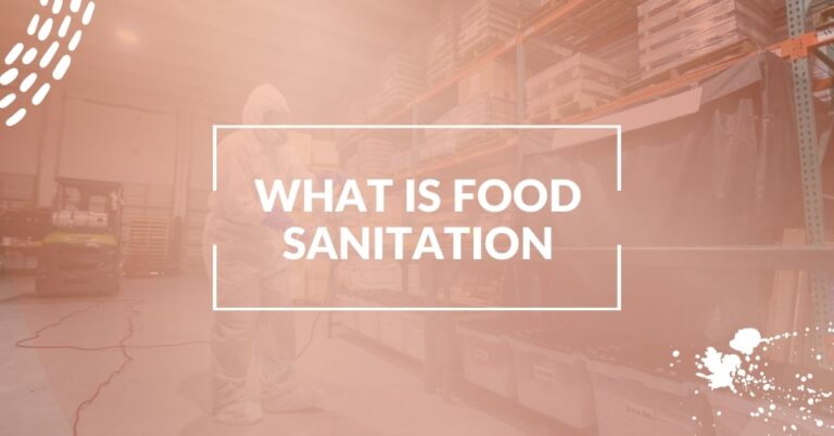 Pest Control for Food Safety