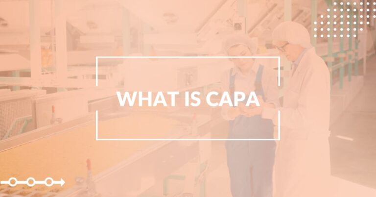 What Is CAPA and Its Role in the Food Safety?