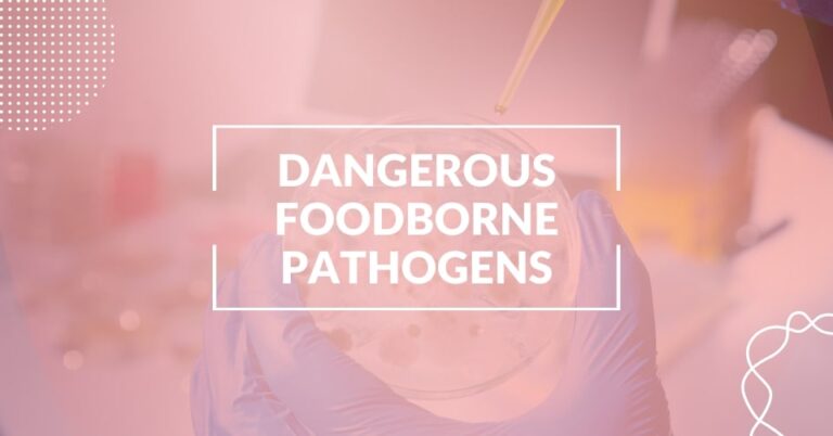 The Most Common Foodborne Pathogens