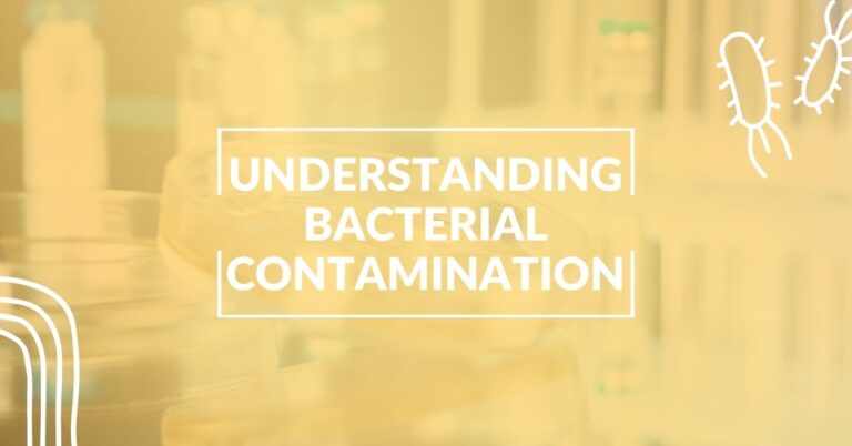 Best Ways to Avoid Bacterial Contamination in Foods