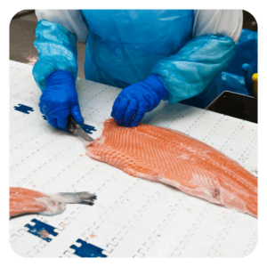 Seafood HACCP Plan Examples & Templates