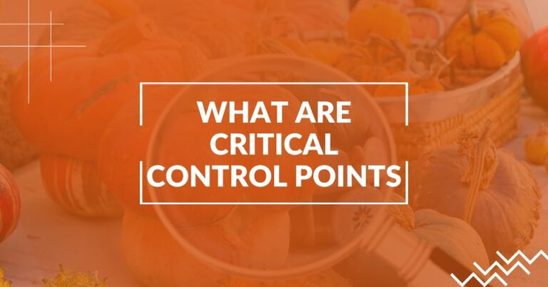 What are Critical Control Points in a HACCP Plan?