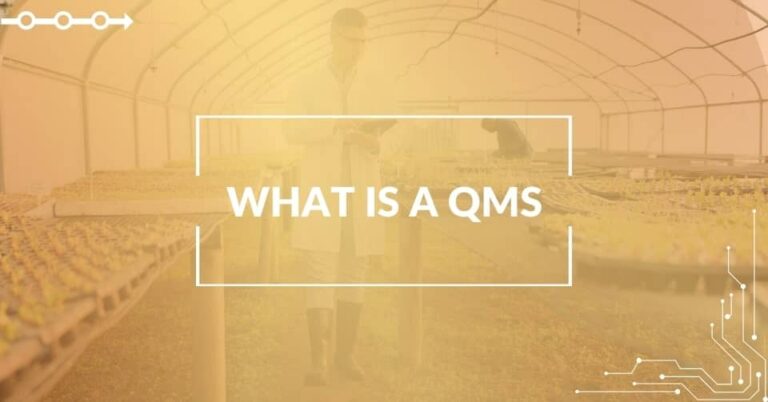 What is a Quality Management System (QMS)?